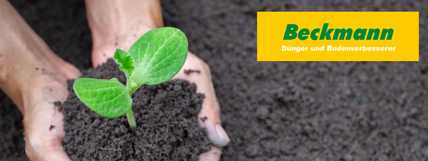 Beckmann & Brehm GmbH